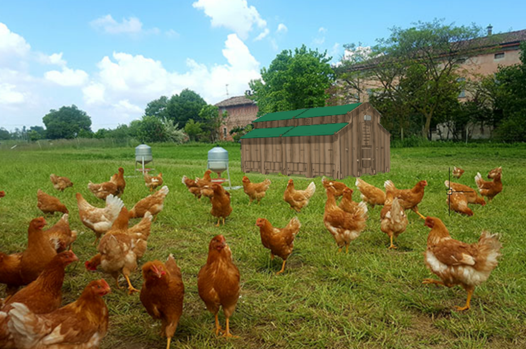 POLLY FARM PLUS Large chicken coop for 80/100 free-range hens with 12 ...
