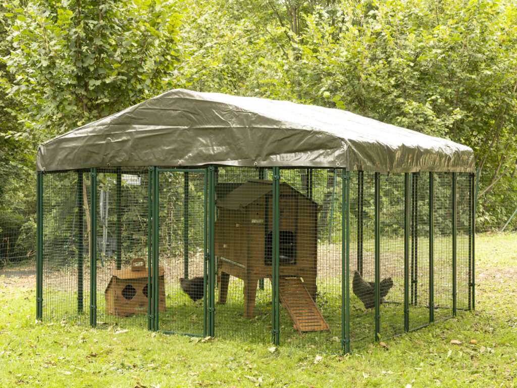 POLLY RUN Recinto per polli / avicoli di qualunque razza 3 x 3 ...