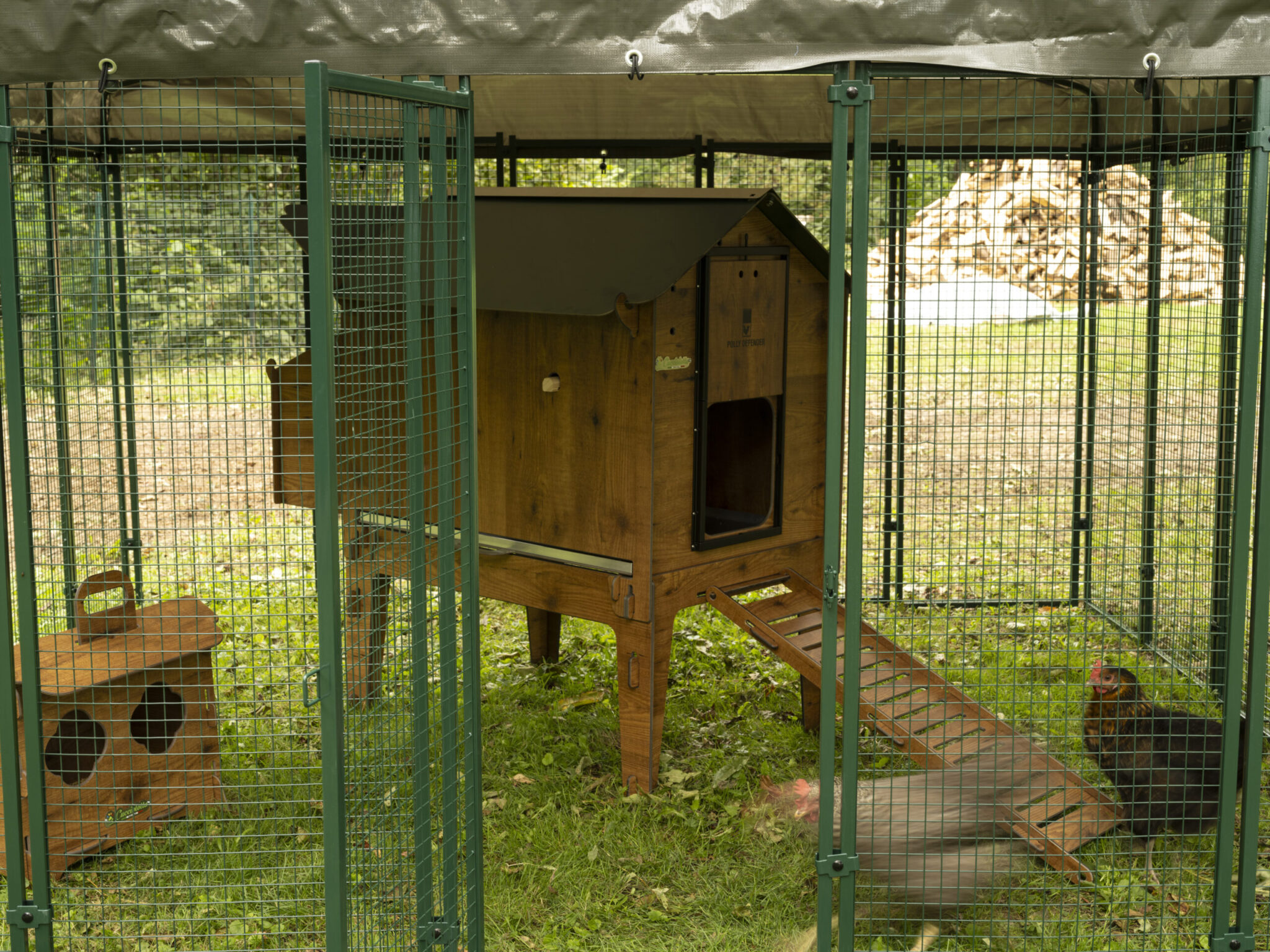 POLLY RUN Recinto per polli / avicoli di qualunque razza 3 x 3 ...